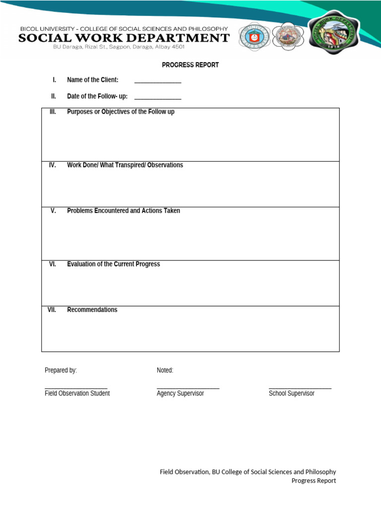 Progress Report in Social Work | PDF