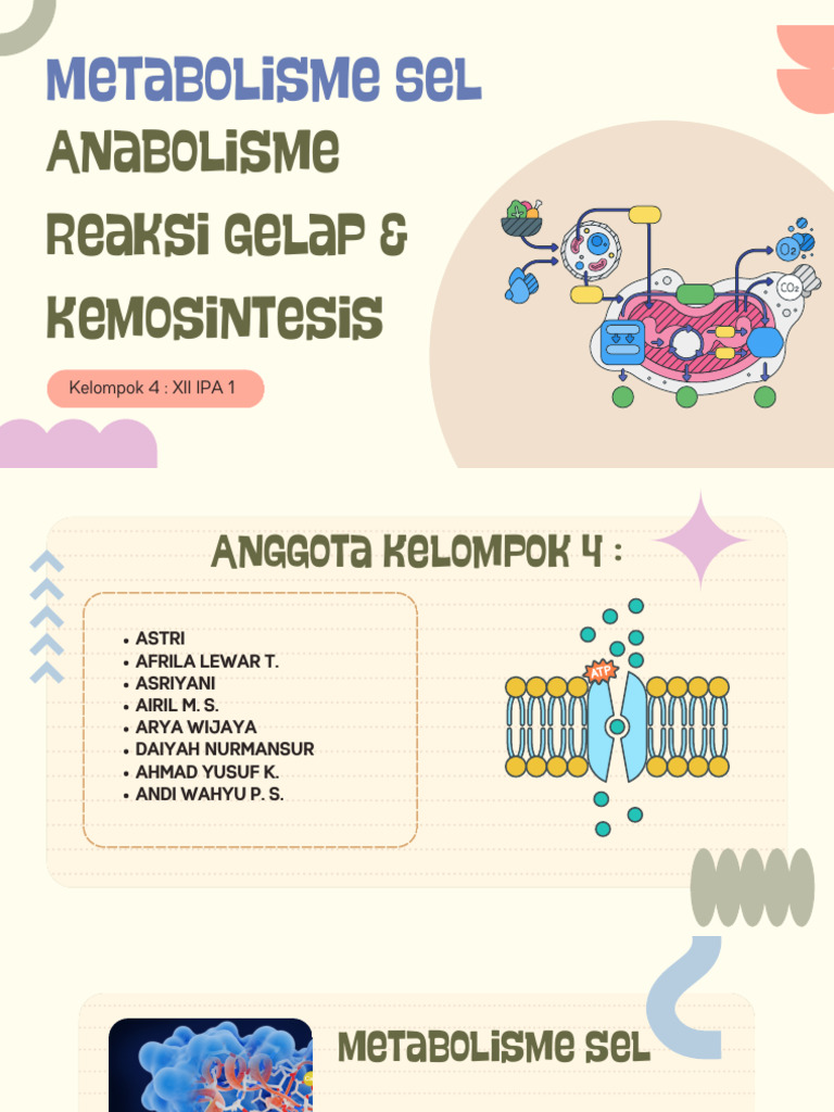 Kelompok 4 - Anabolisme Reaksi Gelap Dan Kemosintesis - 20241004 ...