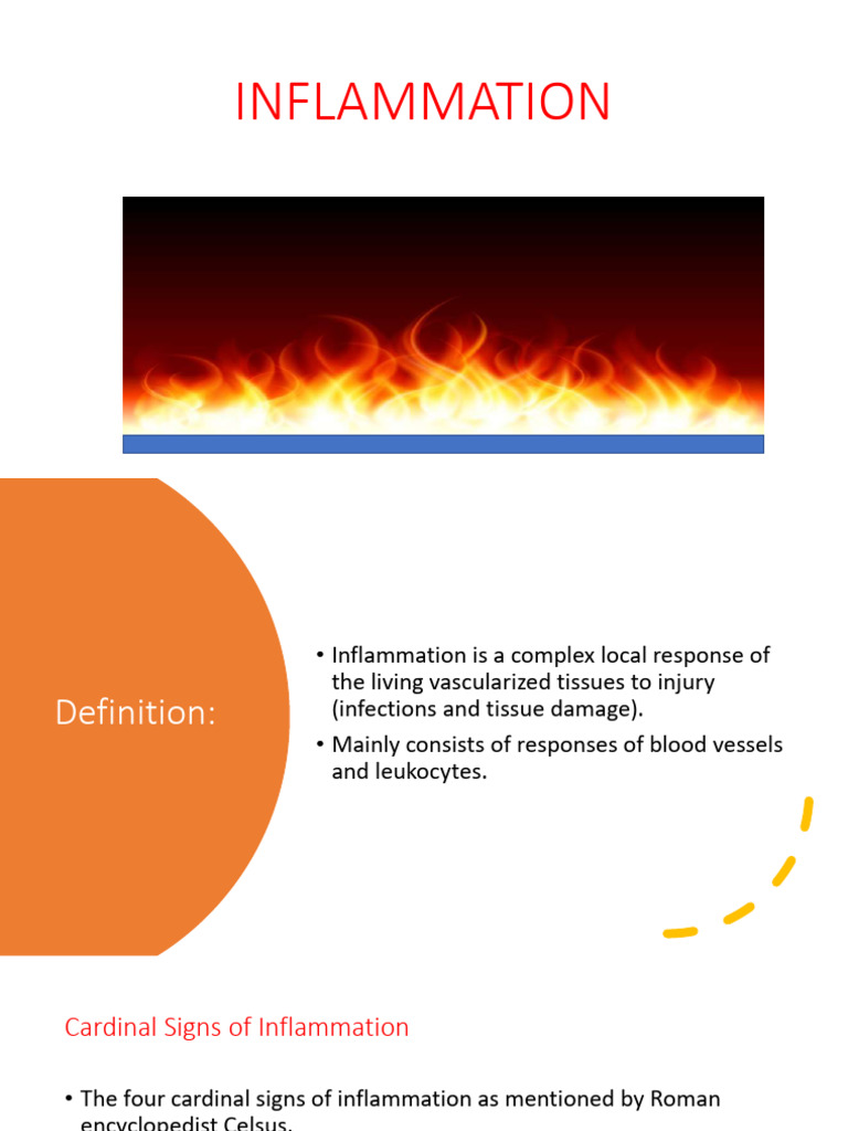Inflammation 1 (1) | PDF | Inflammation | White Blood Cell