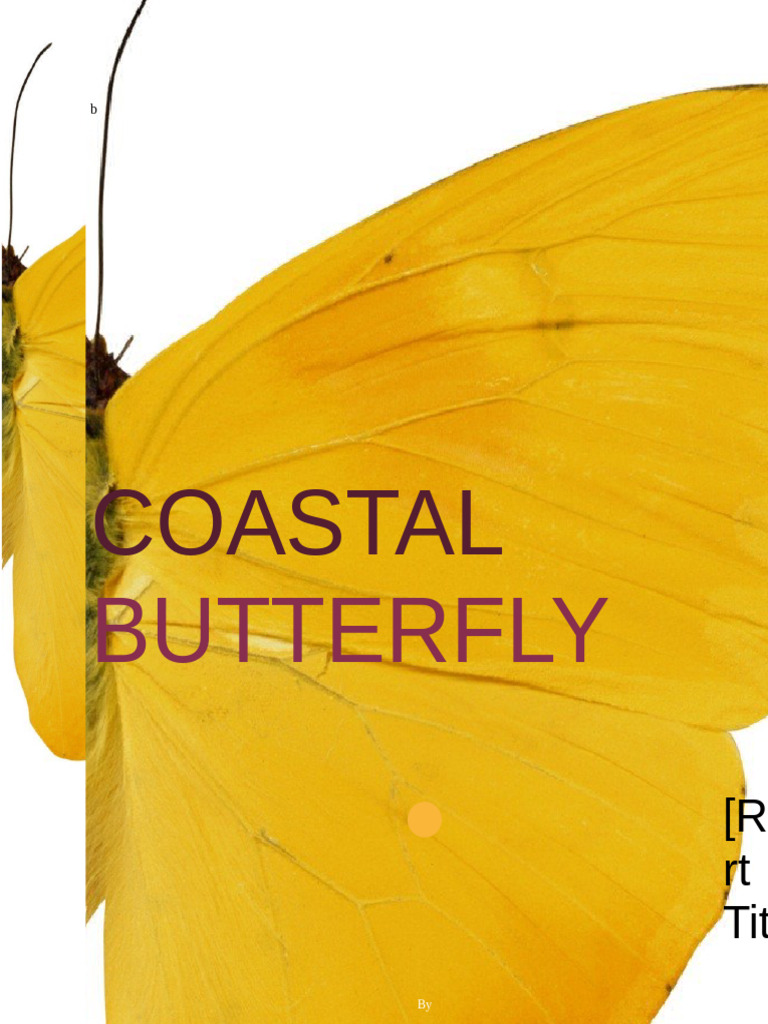 Coastal Butterfly Habitats in the UK | PDF