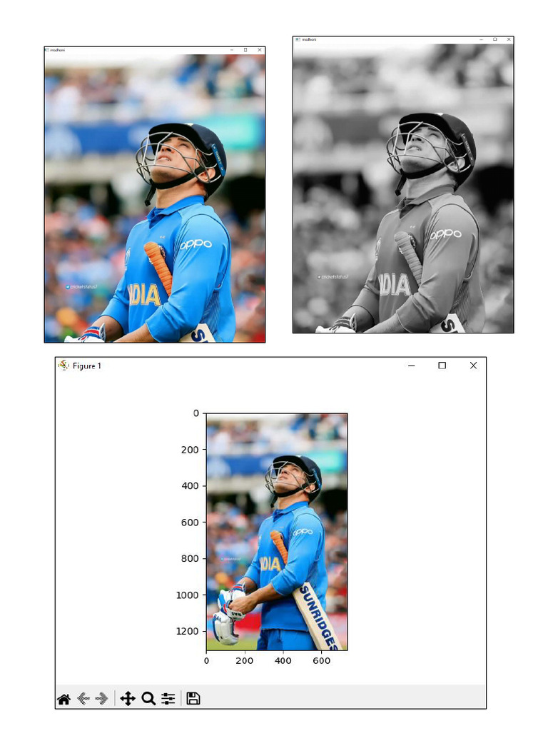 Ai Record Printout | PDF