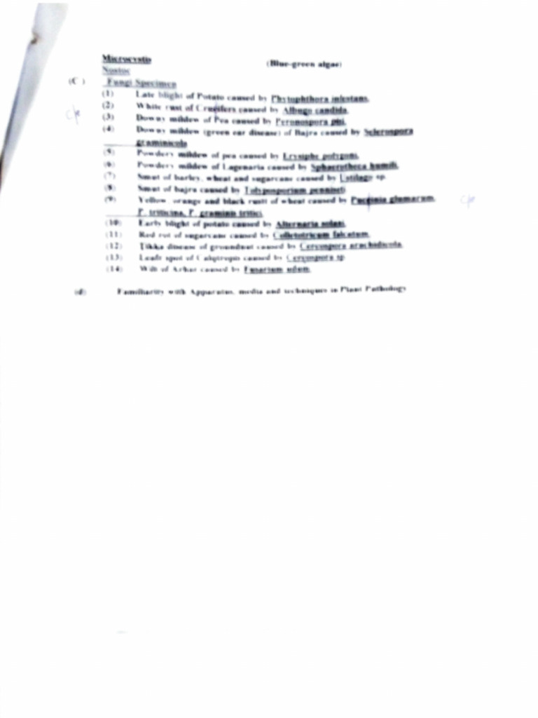 Blue Green Algae | PDF