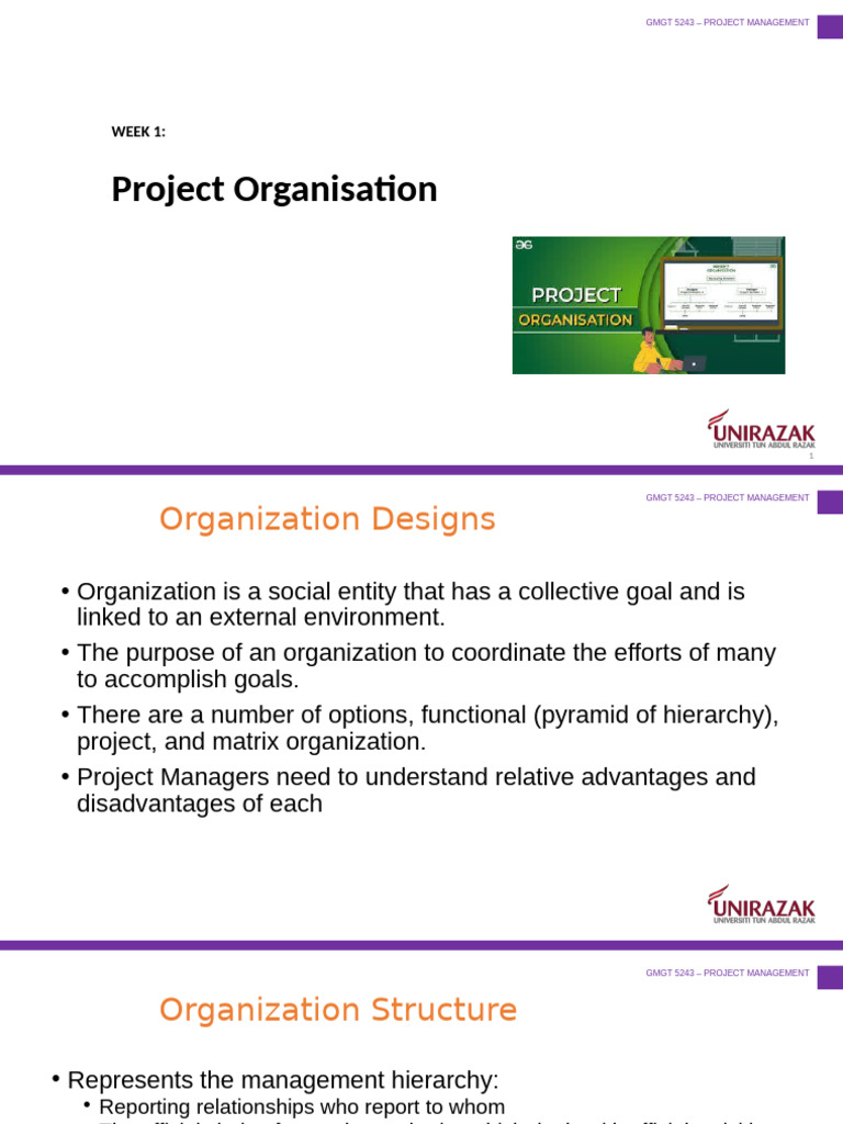 Project Management Structures | PDF | Project Management | Organizational Structure