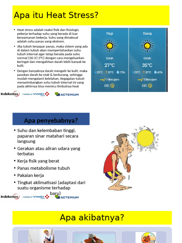 Heat Stress | PDF