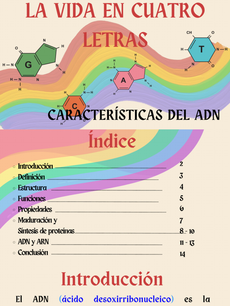 La Vida en Cuatro Letras | PDF