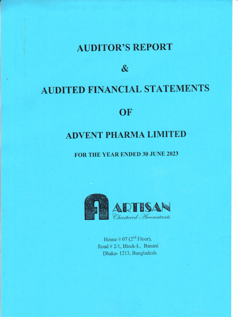 Advent Financial Statement 2022-23 | PDF | International Financial ...