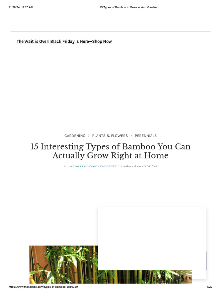 15 Bamboo Varieties for Your Garden | PDF | Bamboo | Botany