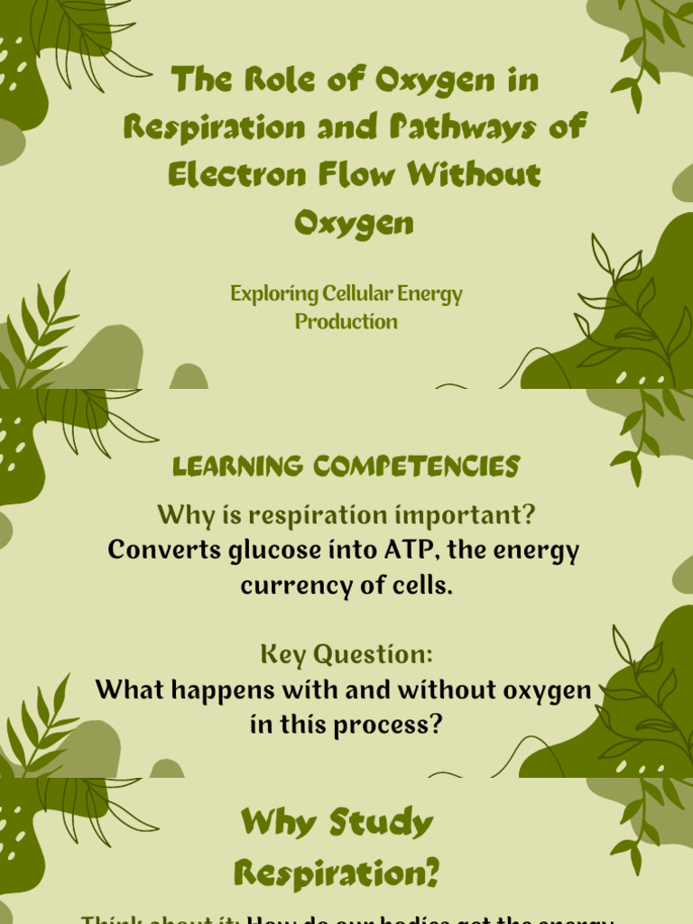 The Role of Oxygen in Respiration and Pathways of Electron Flow Without ...