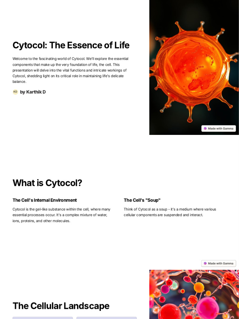 Understanding Cytocol: Cell's Core Functions | PDF | Cell (Biology ...