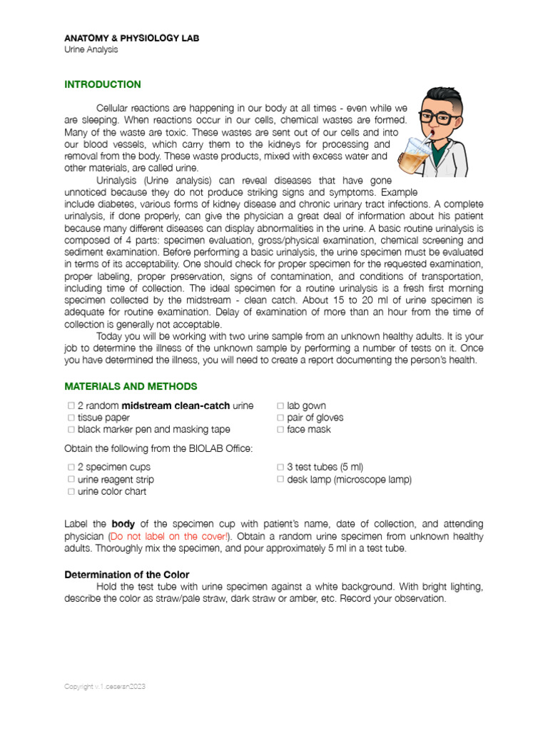 A12 Urine Analysis | PDF | Physical Examination | Urine