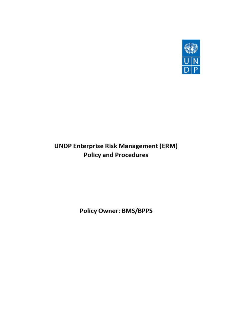 2 Undp Erm | PDF | Risk | Risk Management