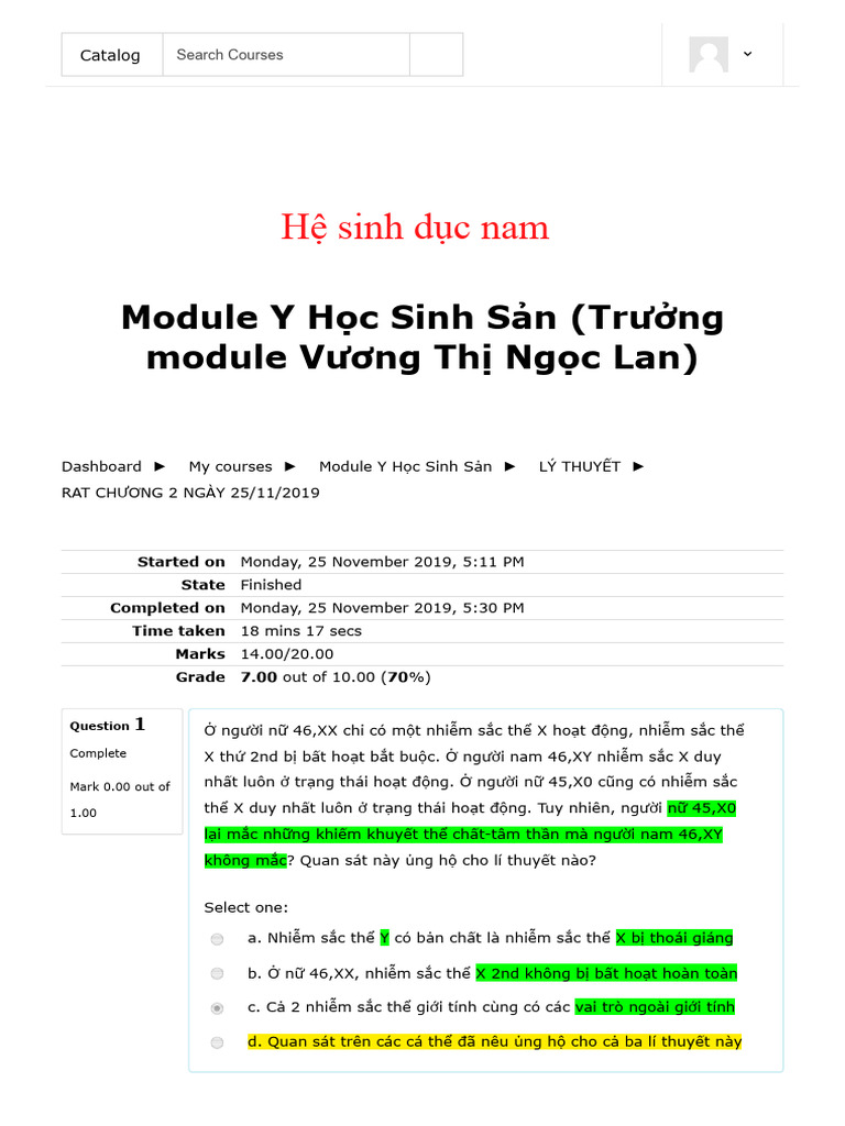 Rat 3.3 HSD Nam Y17 | PDF