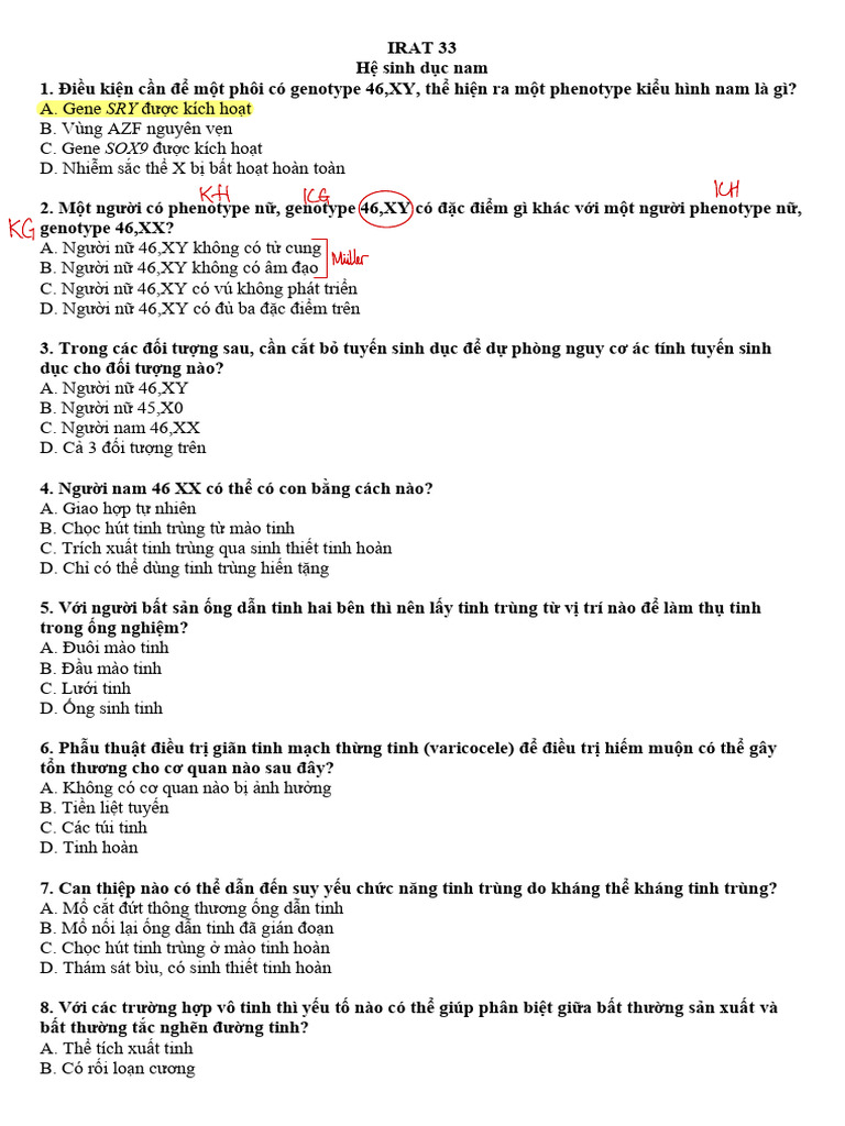 Irat 3.3 Y21 PDF | PDF