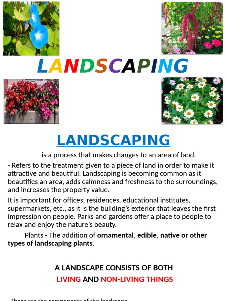 Intro. To Landscaping | PDF | Gardens | Symmetry