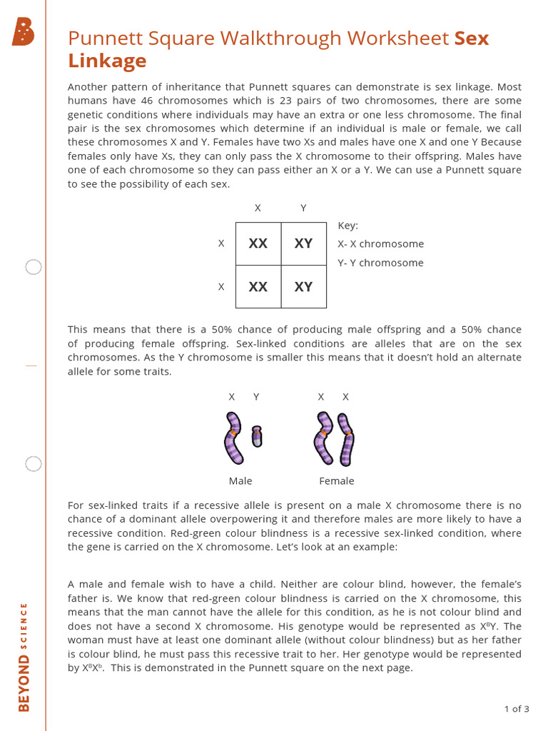 Lesson Four Sex Linkage Pdf Dominance Genetics Genotype