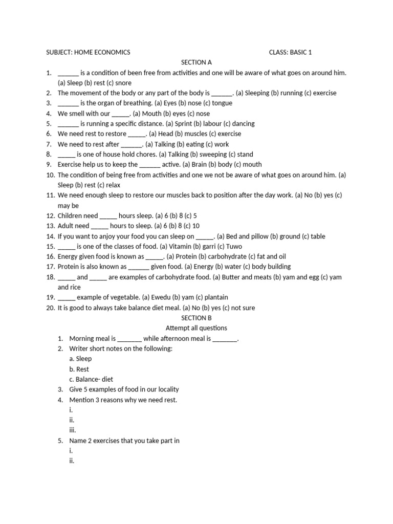 Home Economics Basics for Beginners | PDF