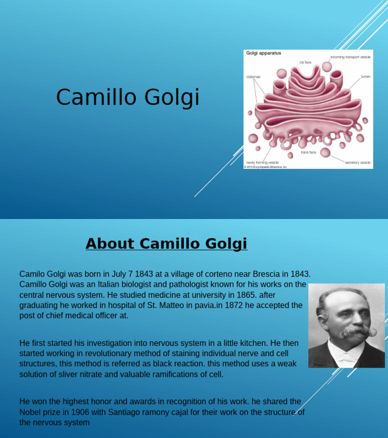 Camillo Golgi | PDF