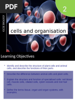 Dict Ict Exam | PDF | Computer Program | Programming