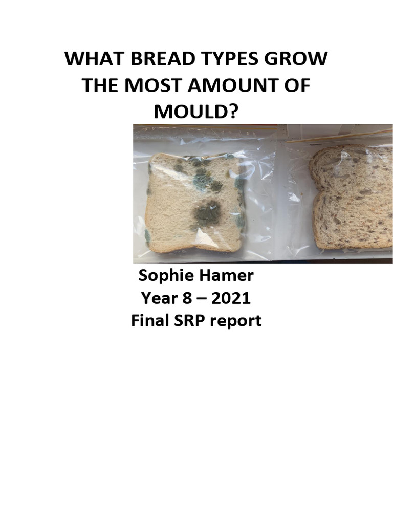 Science SRP Final Report | PDF | Mold | Fungus