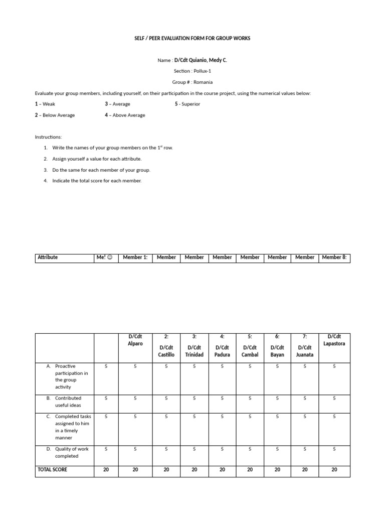 Group Work Evaluation Form | PDF