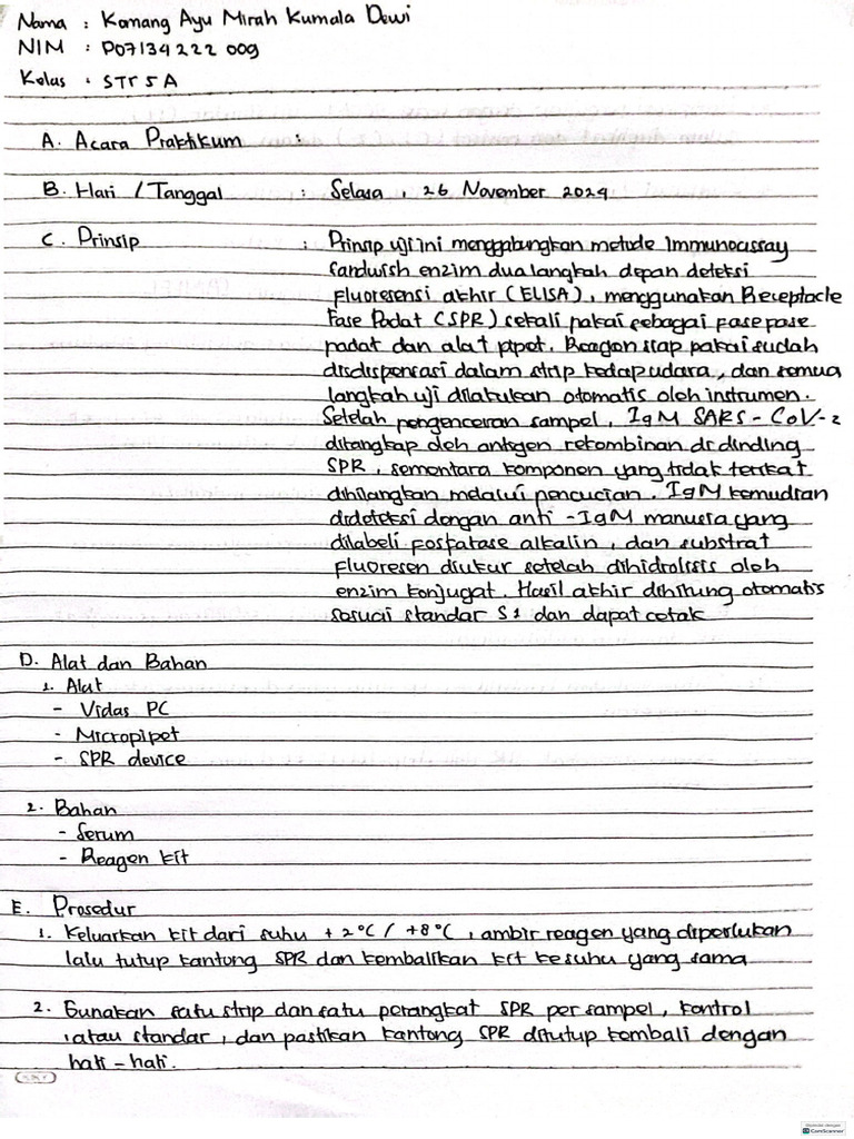 P07134222009 - Komang Ayu Mirah Kumala Dewi | PDF