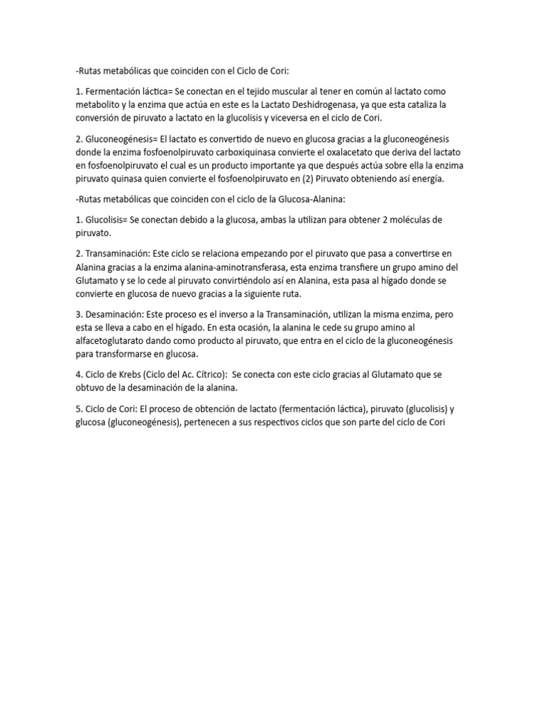 Rutas Metabólicas Que Coinciden Con El Ciclo de Cori y Glucosa Alanina ...