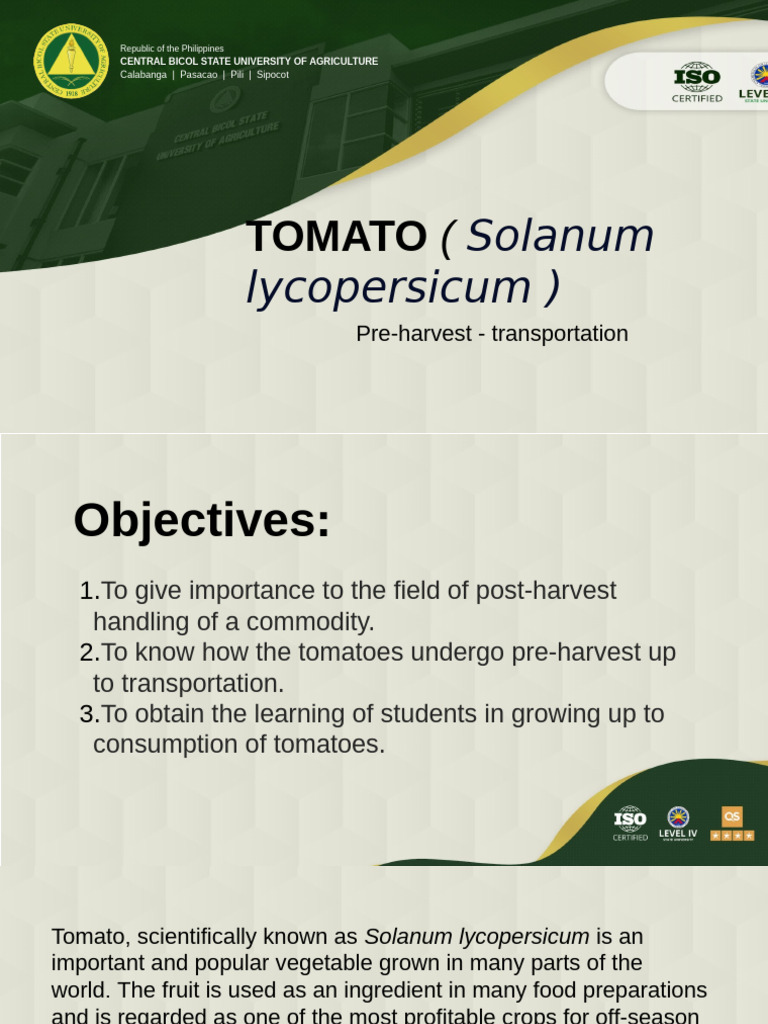 Crop Science 3 | PDF | Tomato | Plants