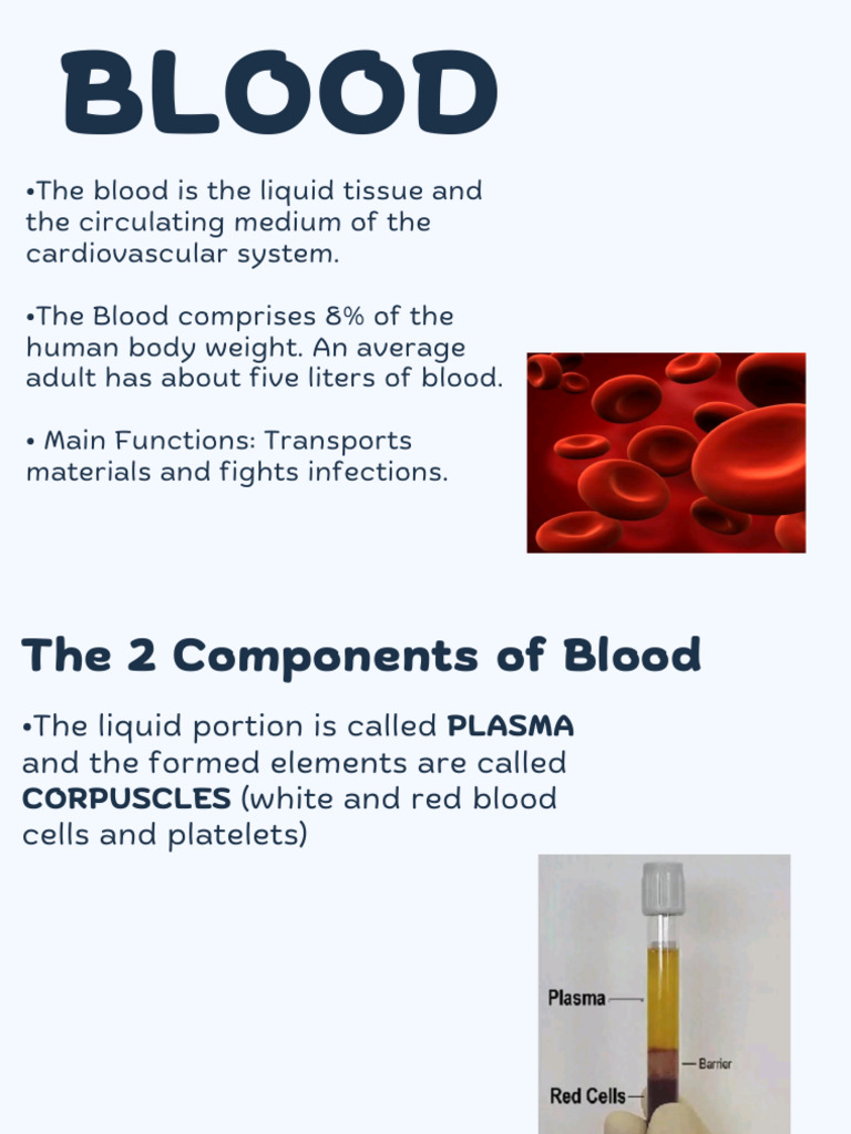 BLOOD | PDF