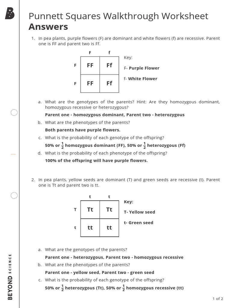 Lesson One Punnet Squares Walkthrough Worksheet - Answers | PDF ...