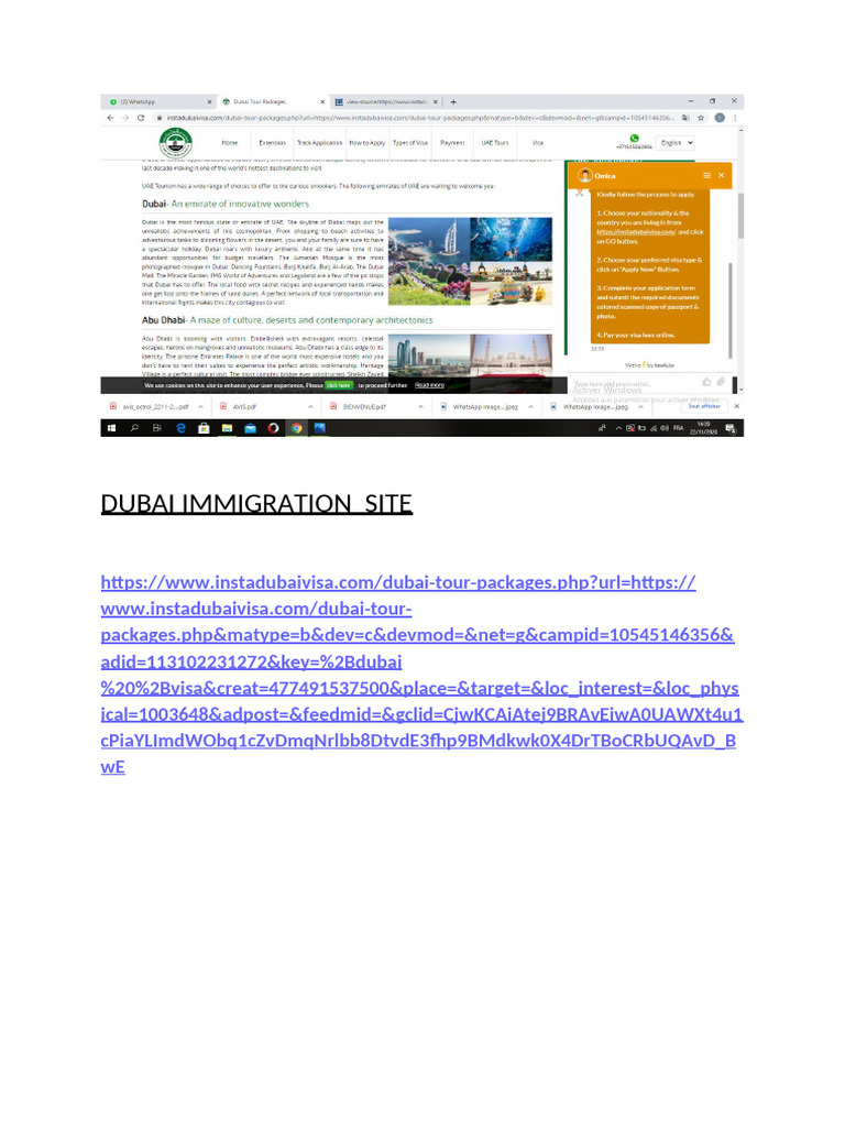 Dubai Immigration Site | PDF
