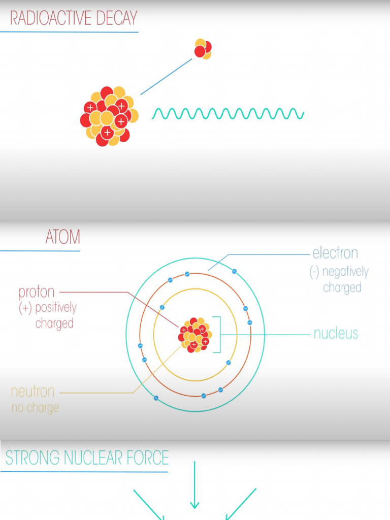 Radioactive Decay | PDF
