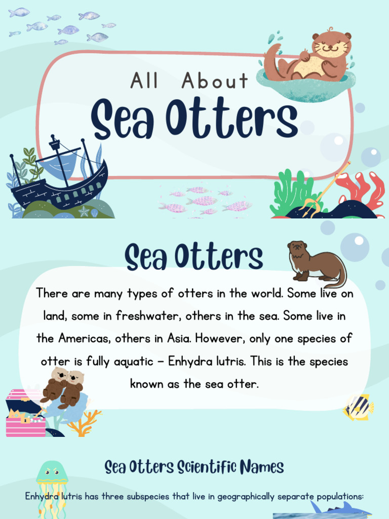 Sea-Otters | PDF | Otter | Sea