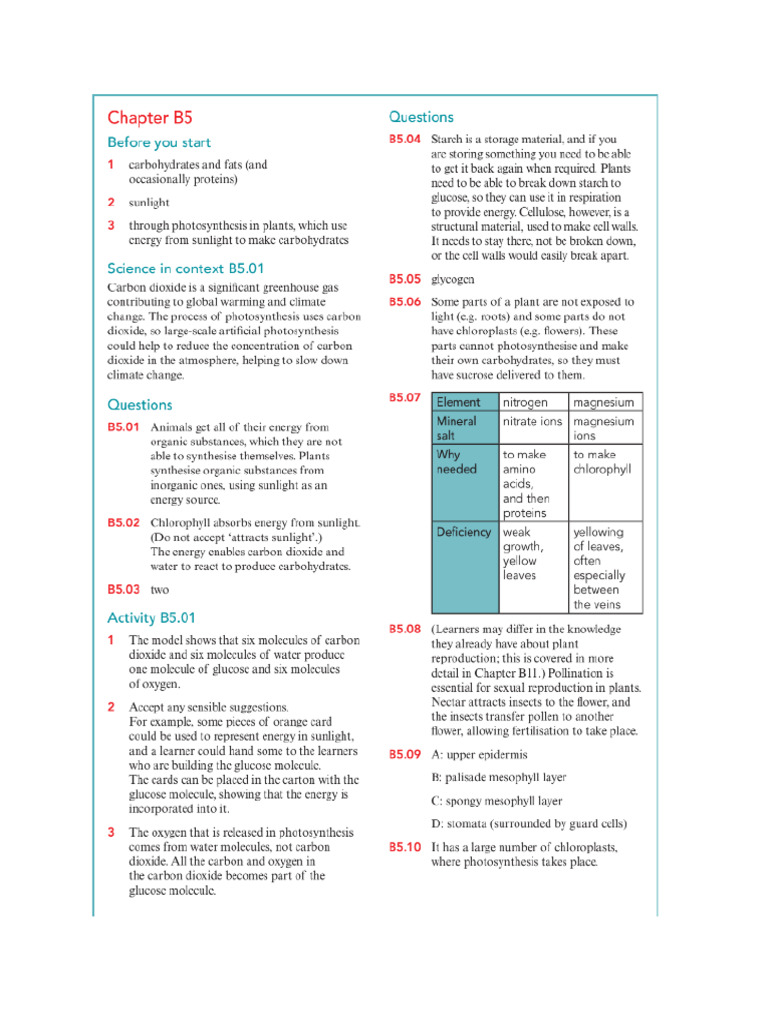 Biology Chapter 5 Answers | PDF
