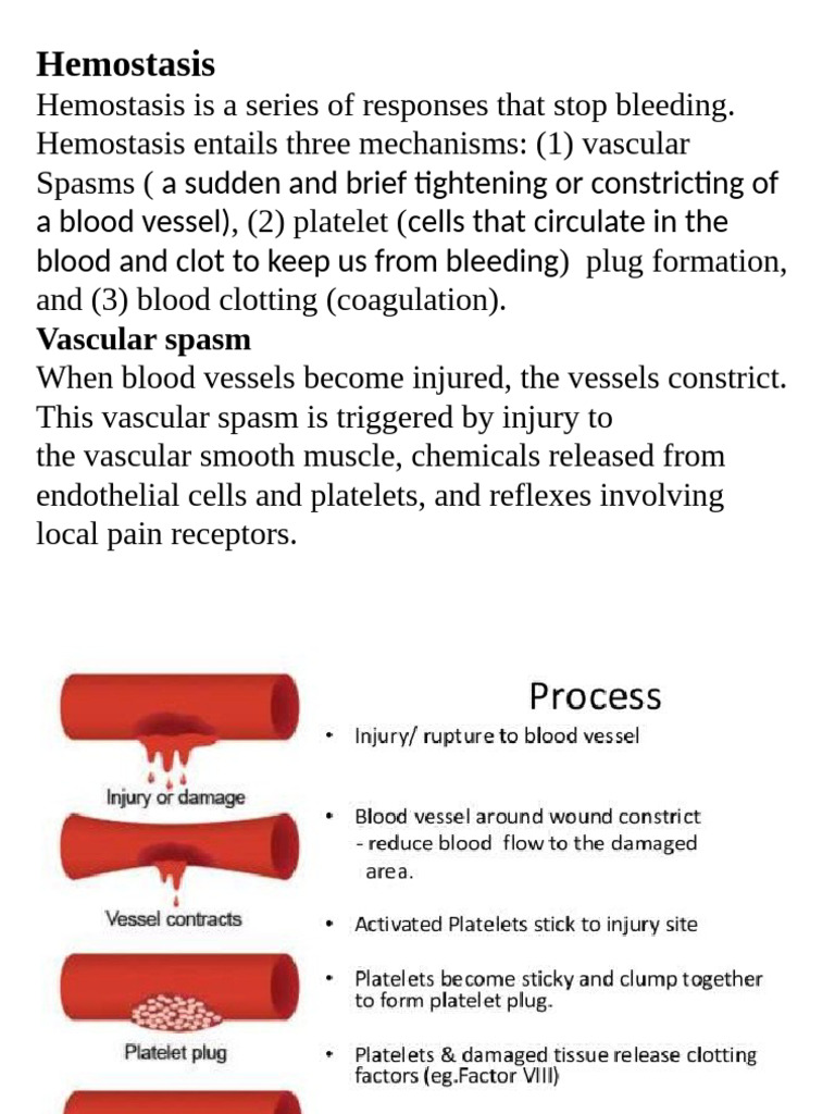 Physiology One-C.vas - System VI | PDF | Blood Vessel | Blood Type