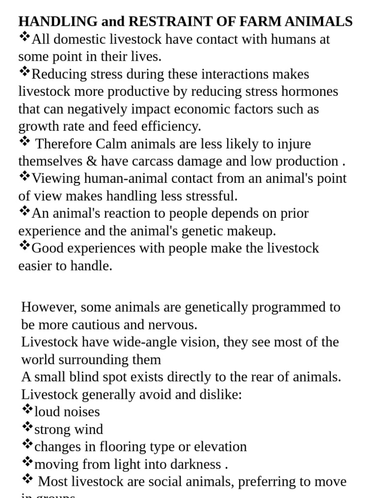 Handling and Restraint of Animals 2 | PDF | Cattle | Sheep