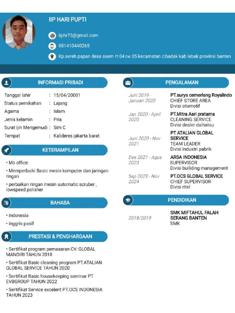 CV APPLY To PT - DPI IIP2024 | PDF