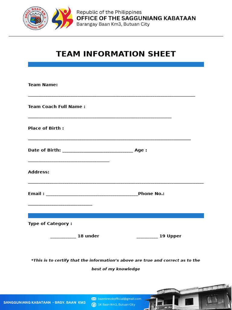 Team Information Sheet Template | PDF