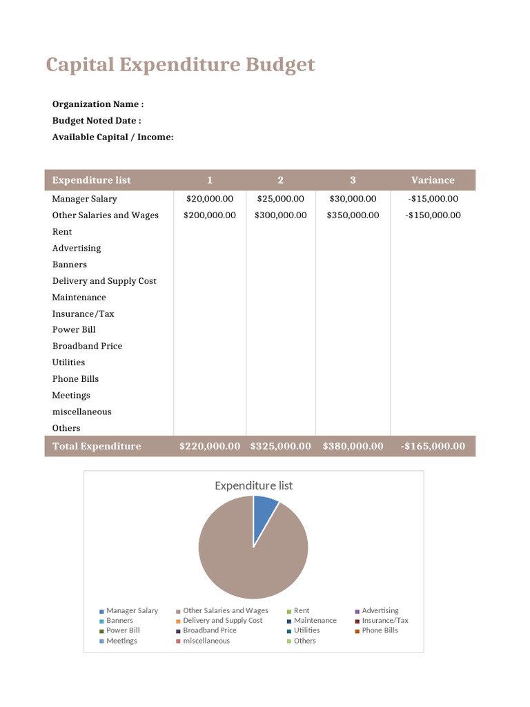 Capital Expenditure Budget Overview | PDF
