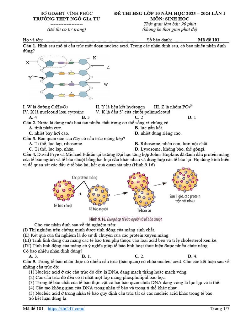 De Thi HSG Sinh Hoc 10 Lan 1 Nam 2023 2024 Truong THPT Ngo Gia Tu Vinh Phuc | PDF