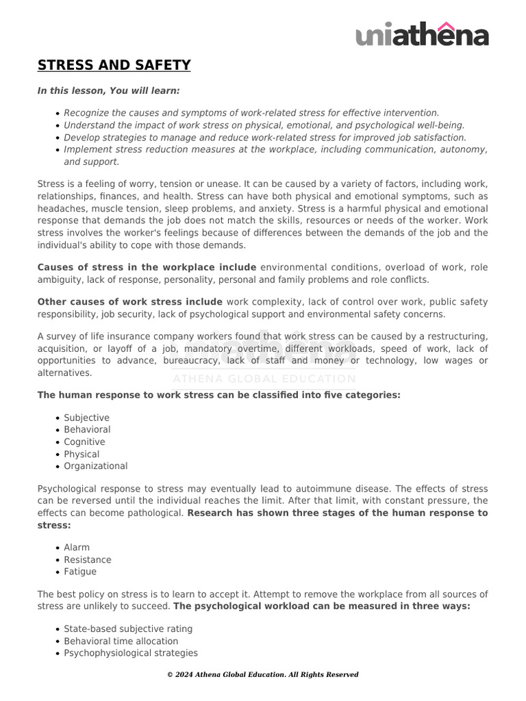STRESS AND SAFETY | PDF | Occupational Stress | Stress (Biology)