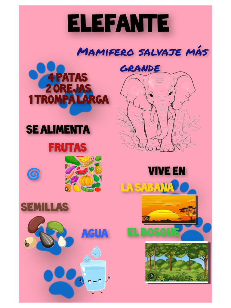 InCollage 20241119 225856792 | PDF