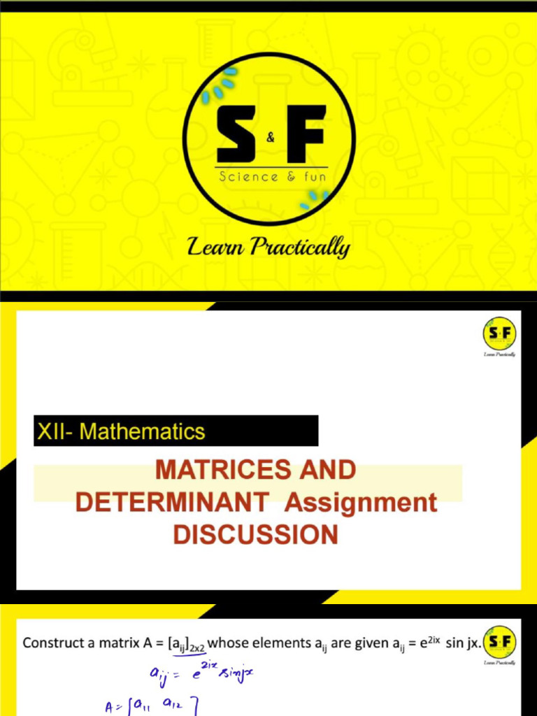 Matrices Assignment Discussuion | PDF