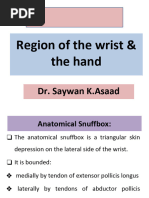 Palmar Hand Anatomy Overview | PDF | Hand | Musculoskeletal System