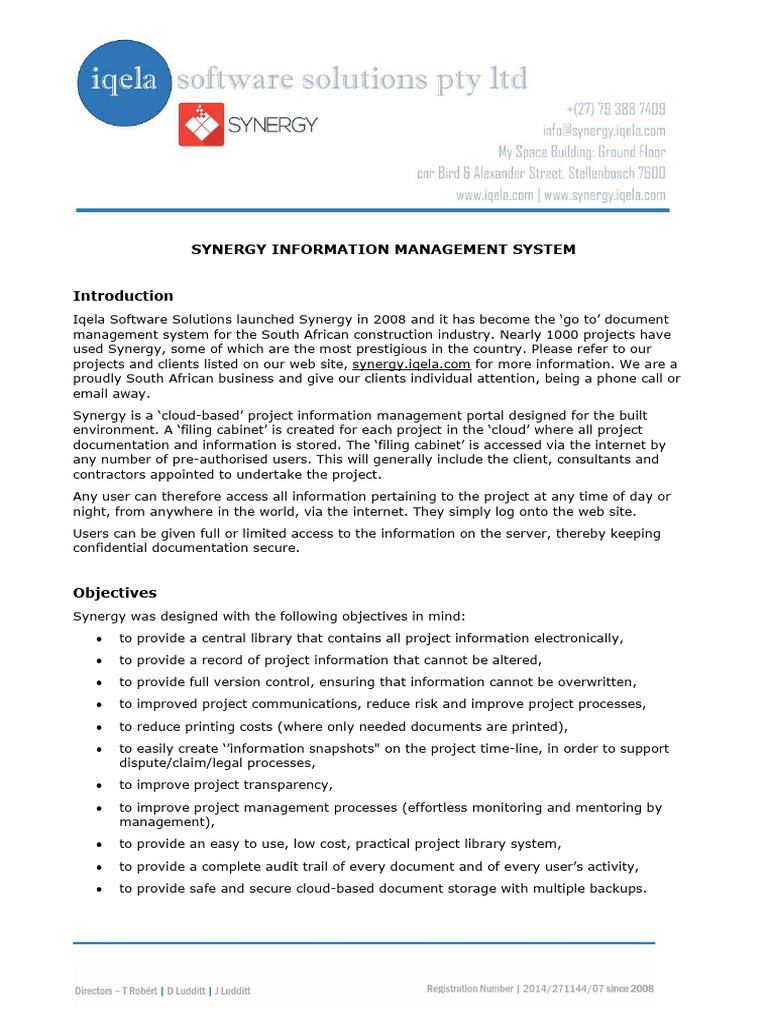 Synergy Summary | PDF | Internet | World Wide Web