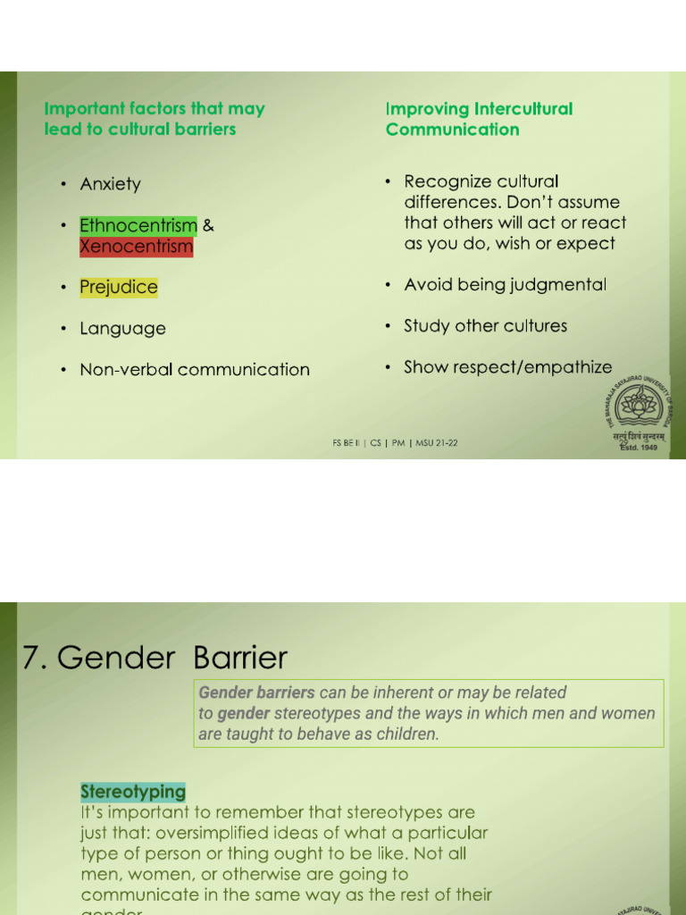Cultural Barrier | PDF