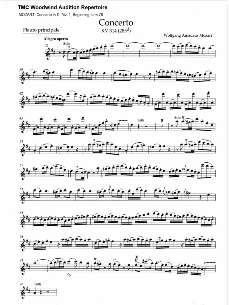 2024 TMC Audition Excerpts Flute | PDF