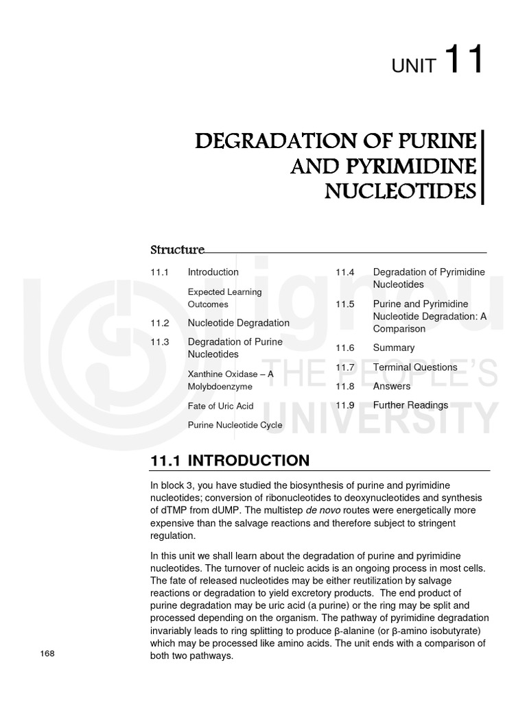 Unit-11 | PDF | Nucleotides | Biomolecules