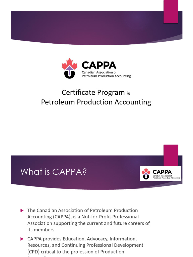 What Is Production Accounting 2019 | PDF | Royalty Payment | Revenue