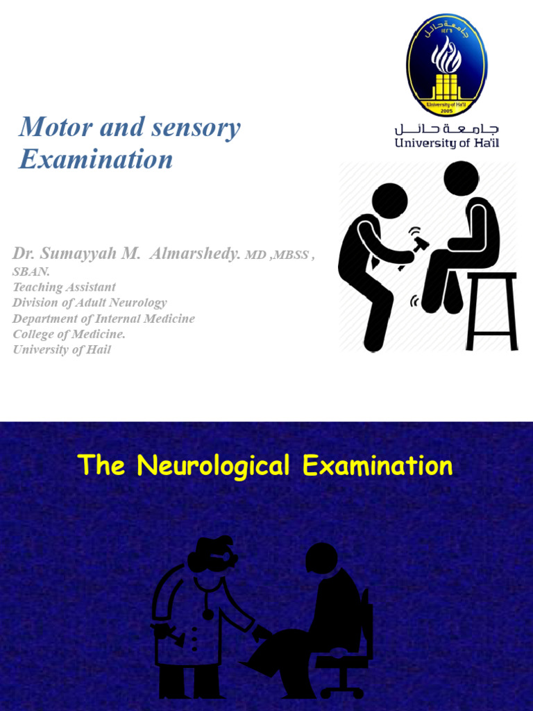 Motor& Sensory Exam..4th y | PDF | Anatomical Terms Of Motion | Human Leg