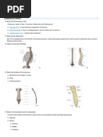 RTOG Heart Contouring Atlas | PDF | Heart | Atrium (Heart)